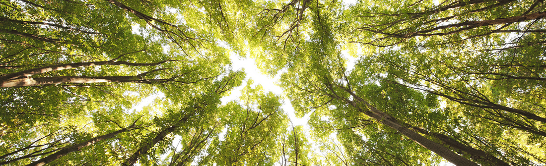 The Greenhouse Gas Protocol – Purposeful Innovators